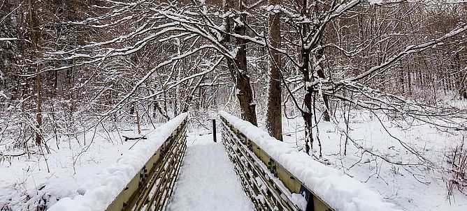 Explore and Hike the Top Berkshire Trails at BNRC - BNRC