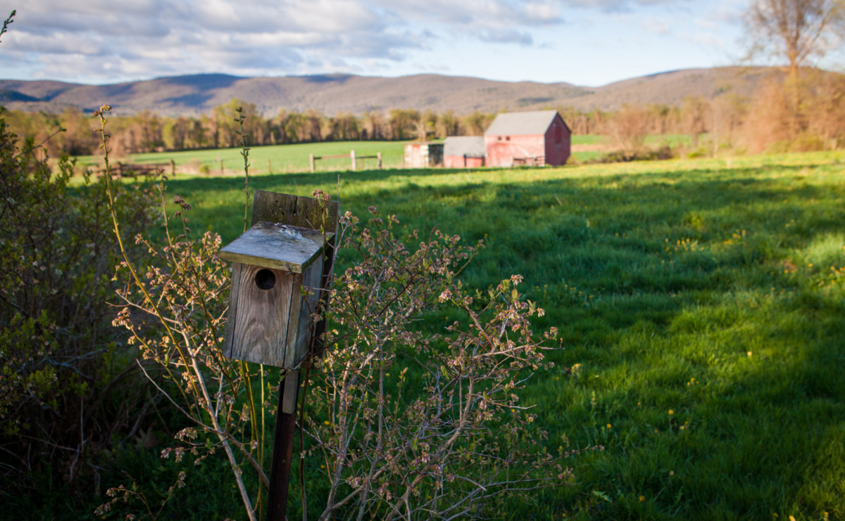 BNRC is for Farmers - BNRC
