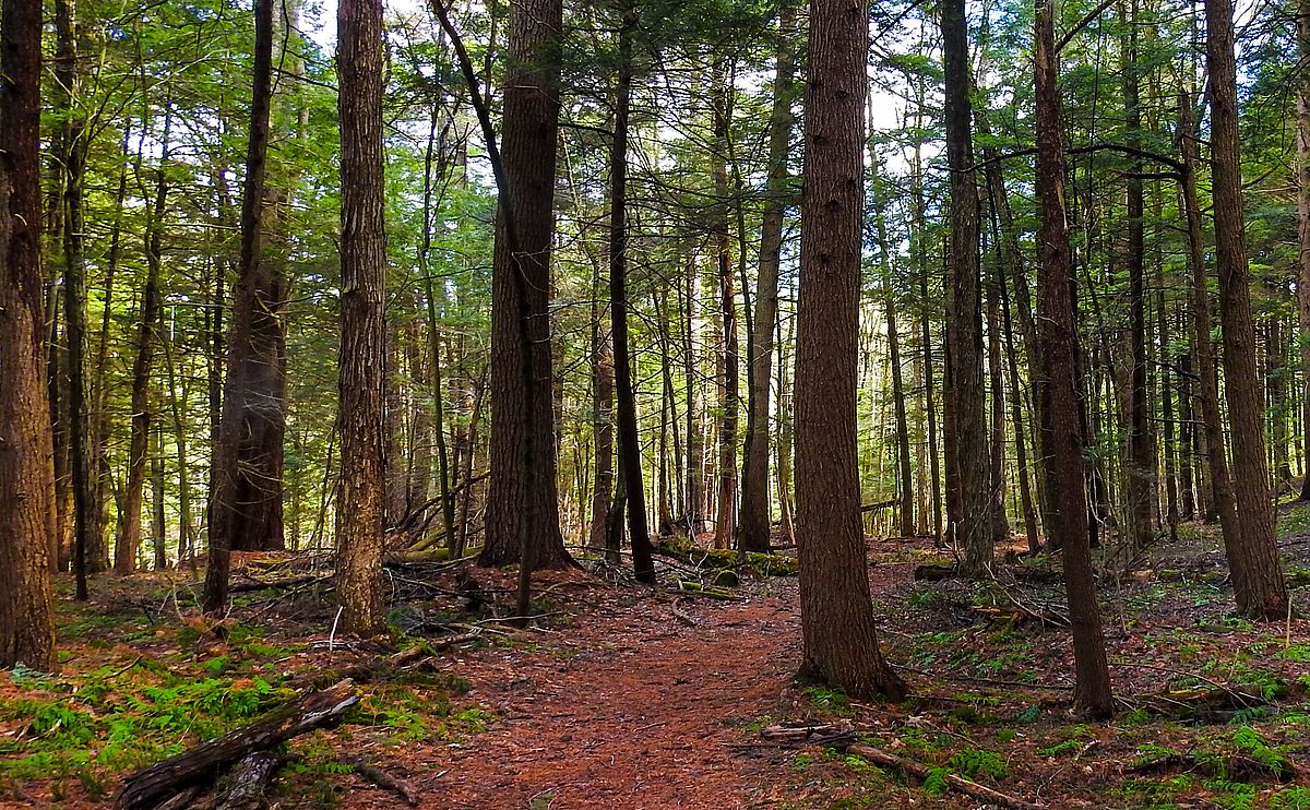 Healthy Heart Family Hike - BNRC