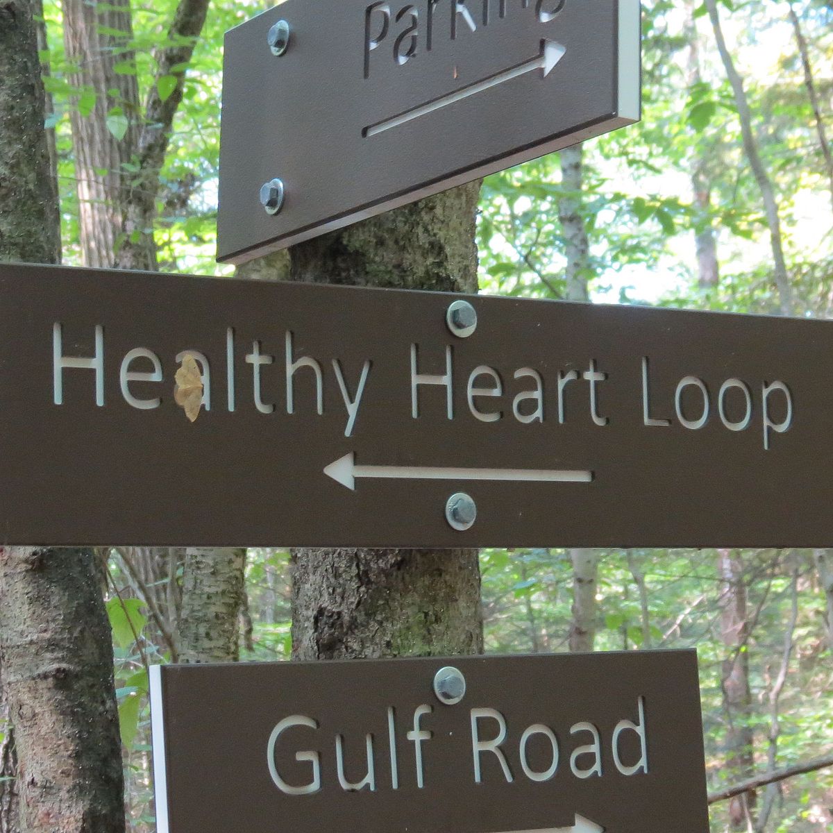 New Heart Healthy Trail at The Boulders - BNRC