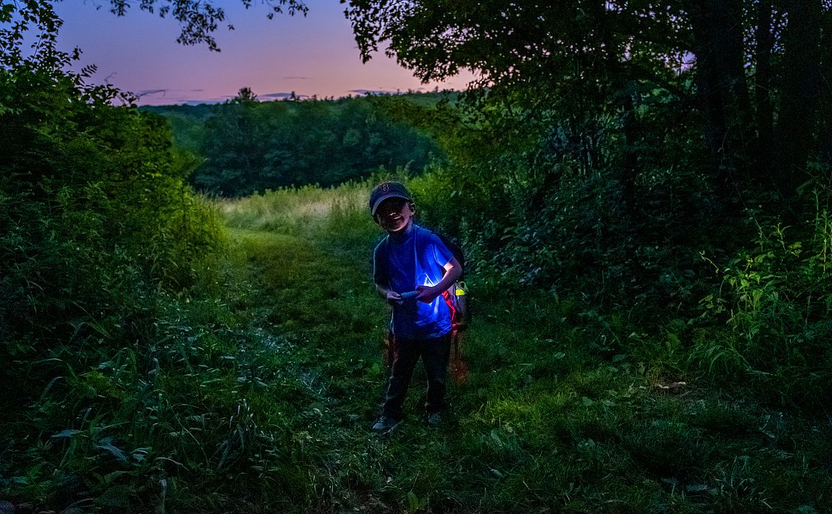 Fantastic Fireflies Family Hike - BNRC