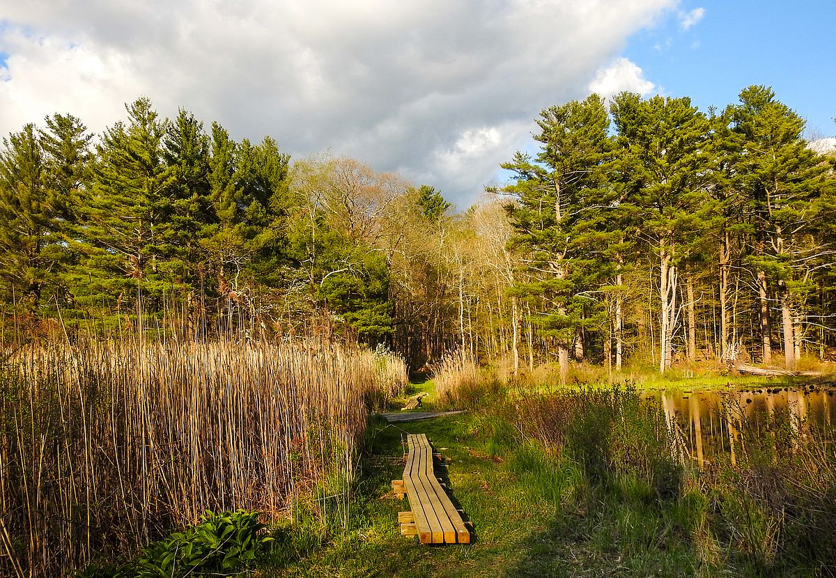 No More Wet Feet: New Bridges and Stream Crossings - BNRC
