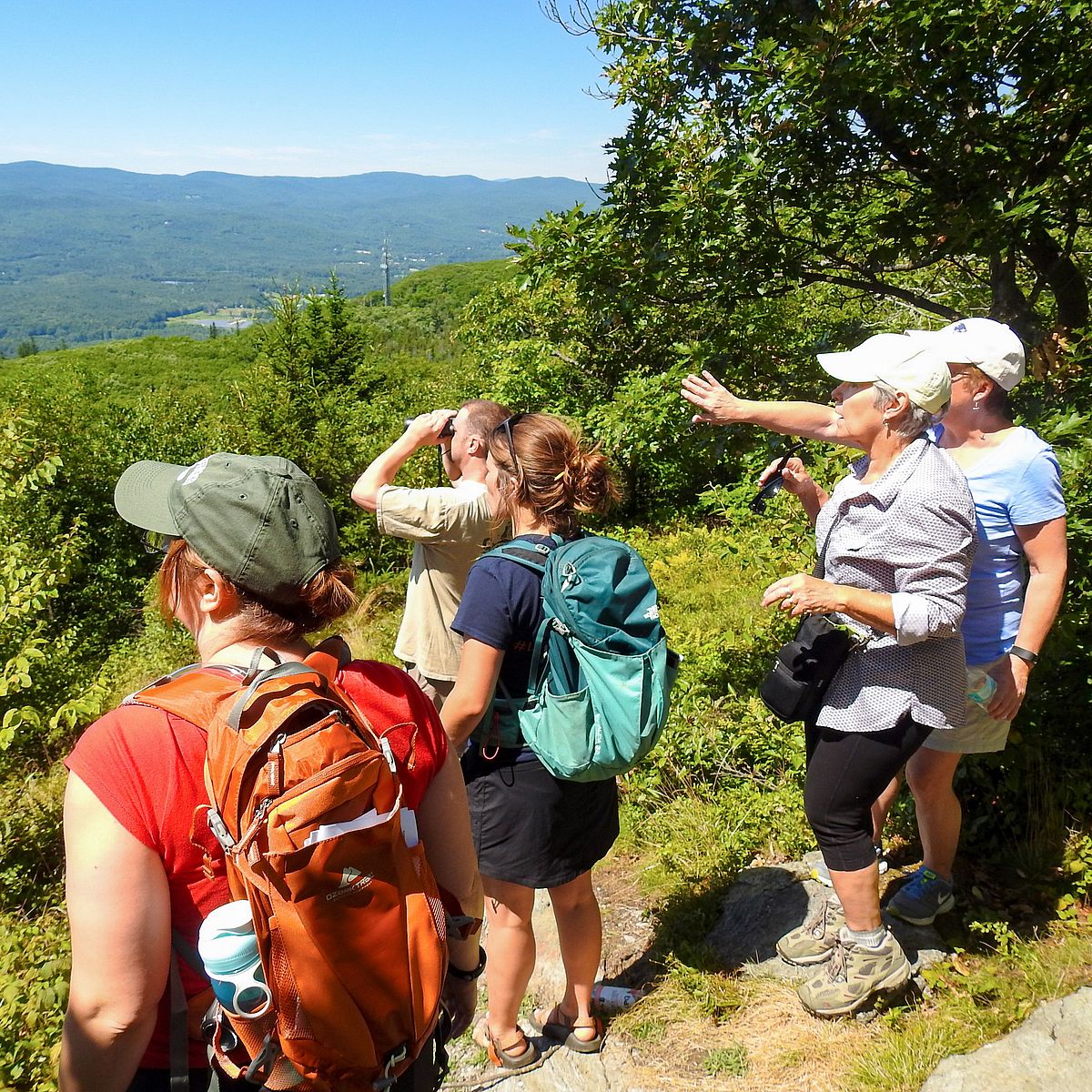 BNRC and You Expand Hoosac Range Reserve for Wildlife - BNRC
