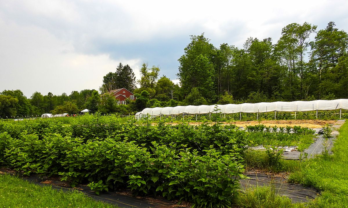 Berkshire Farms Forever - BNRC