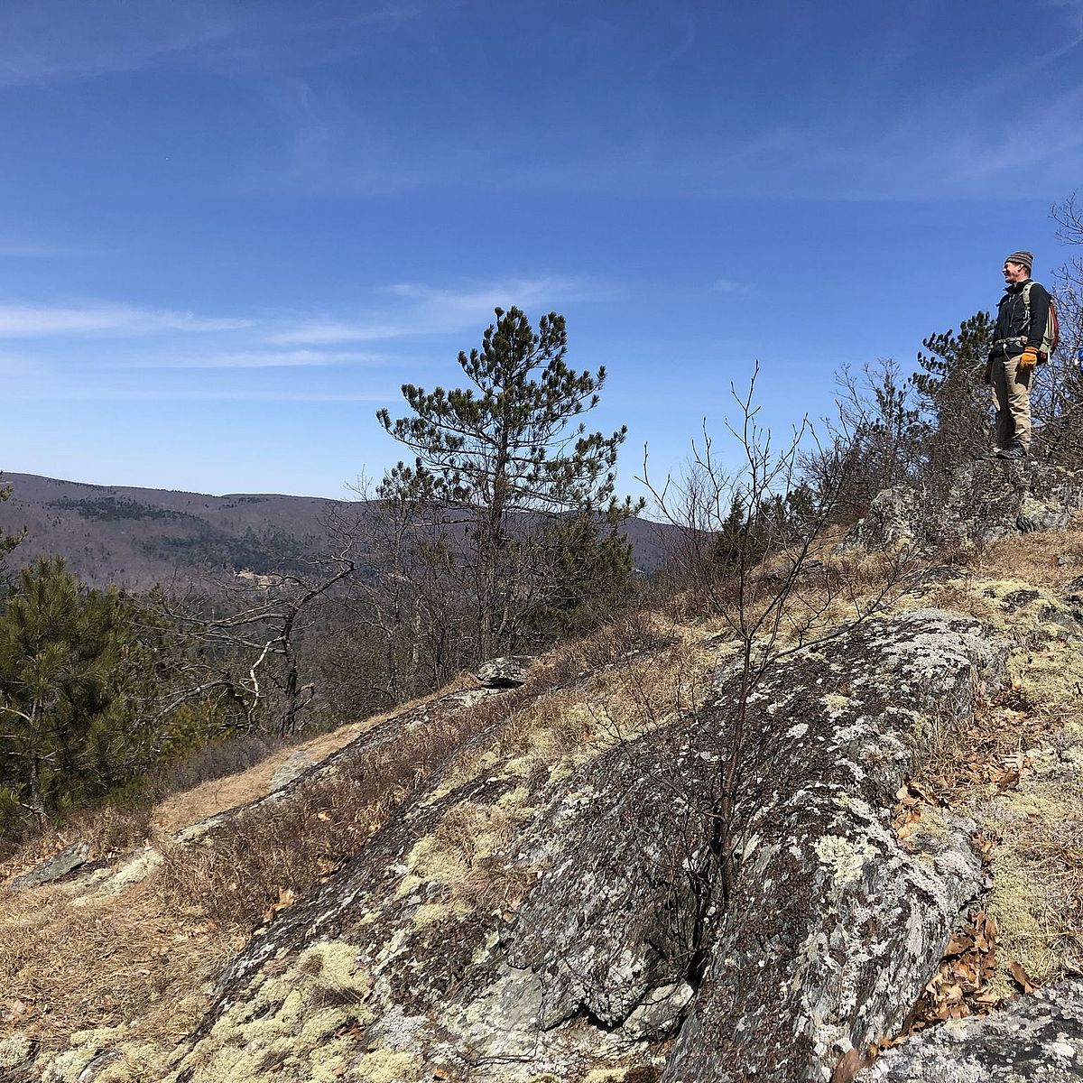 A Piece of The High Road Develops in Alford - BNRC