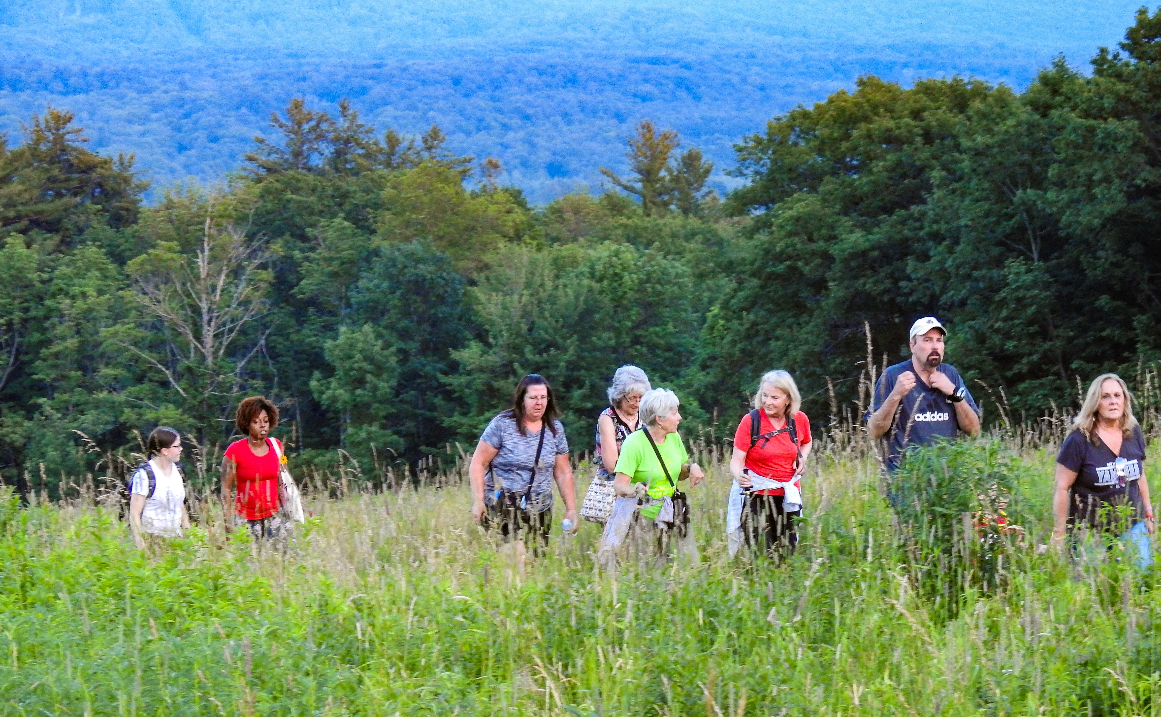 Conserving and caring for the Berkshire landscape - BNRC - BNRC