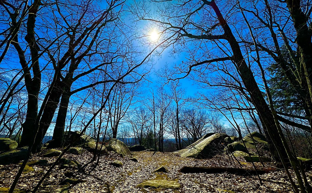 OLLI & BNRC Joint Hike - BNRC