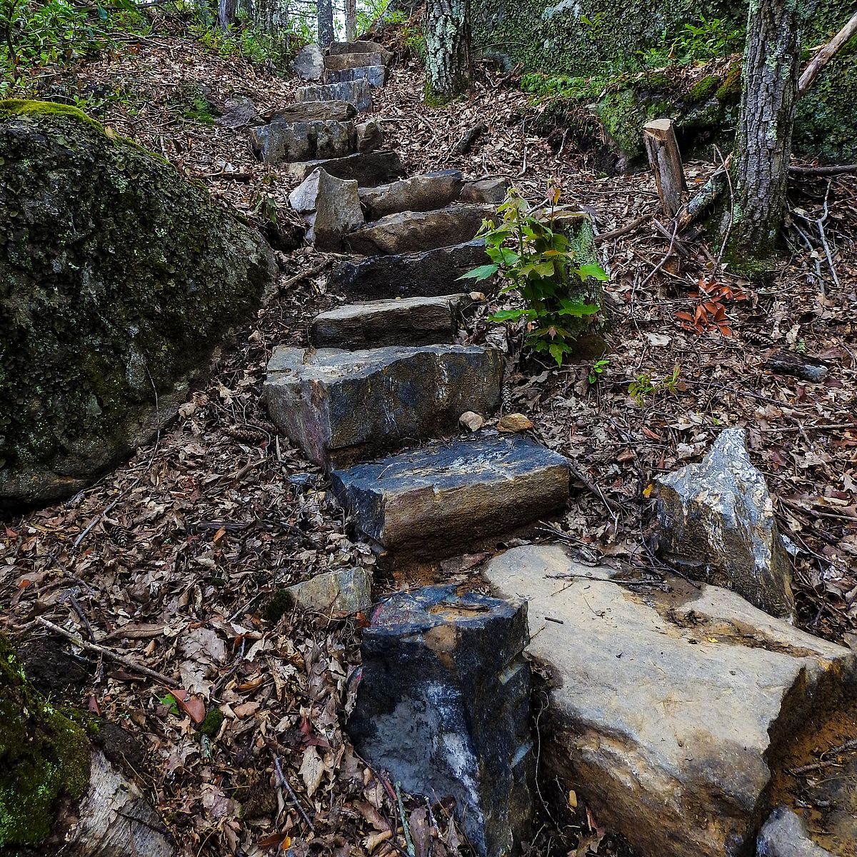 Stewardship Update - BNRC