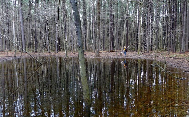 Vernal Pool Exploration - BNRC