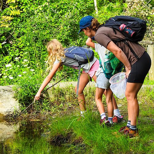 Conserving and caring for the Berkshire landscape - BNRC - BNRC